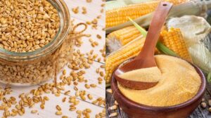 Barley vs Whole-grain cornmeal: How To Choose? - Holy Peas