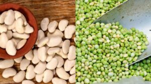 Lima Beans vs Pigeon Peas: Which Is Better? - Holy Peas