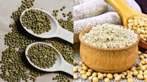 Mung Beans vs Defatted Soy Meal: Difference, Benefits, More - Holy Peas