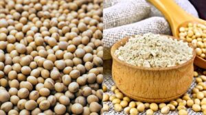 Soy vs Defatted Soy Meal: How Do They Compare? - Holy Peas
