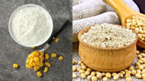 Cornstarch vs Defatted Soy Meal: How Do They Compare? - Holy Peas