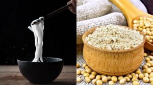 Rice noodles vs Defatted Soy Meal: What’s The Difference? - Holy Peas