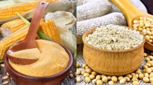 Whole-grain cornmeal vs Defatted Soy Meal: Which Is Better? - Holy Peas
