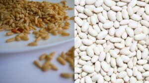 Pine Nuts (Pinyons) vs White Beans: What’s The Difference? - Holy Peas